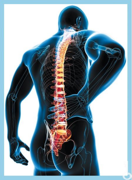 Kulcs Magazin - Az egészség kulcsa – A gerinc megóvása